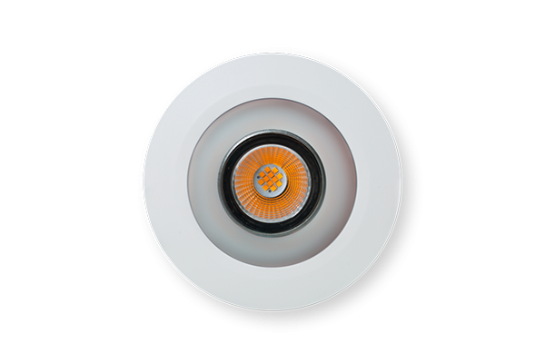 LED Spot RGBW Tree Weiß – Schratt